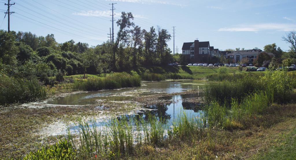 Plans transform pond from cesspool to amphitheatre - Webster Journal