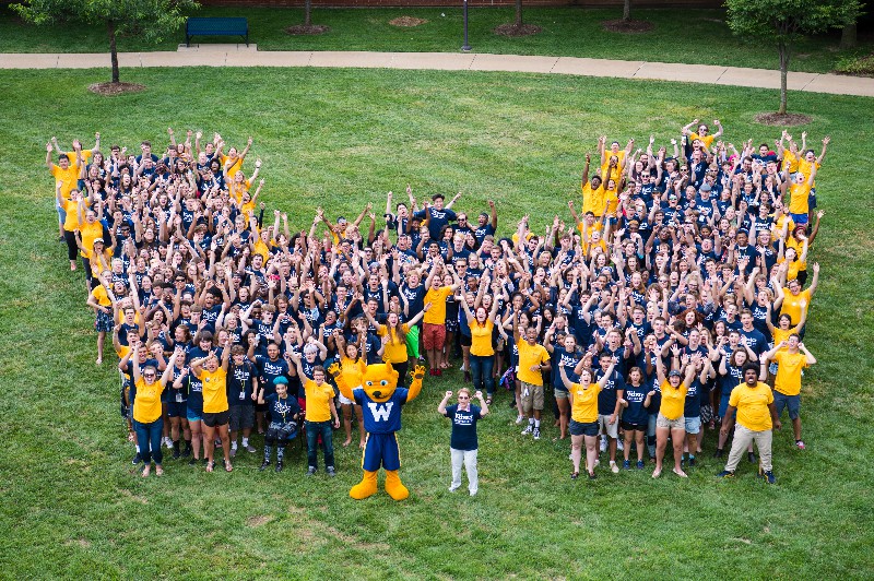 Birth of the giant W - Webster Journal