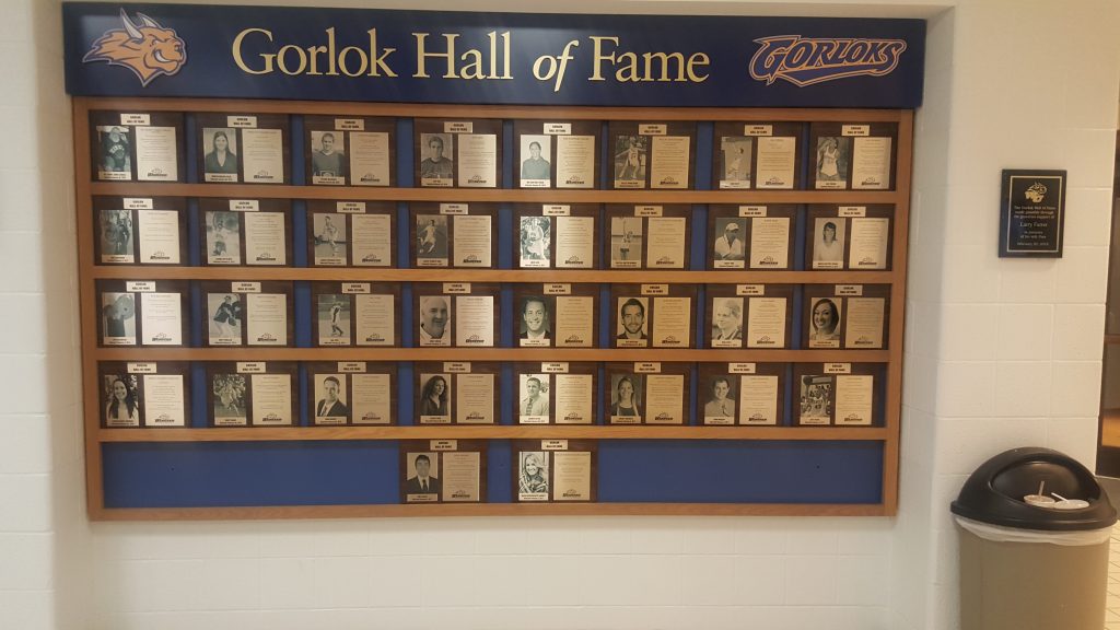 Webster Athletics Hall of Fame adds five new members - Webster Journal